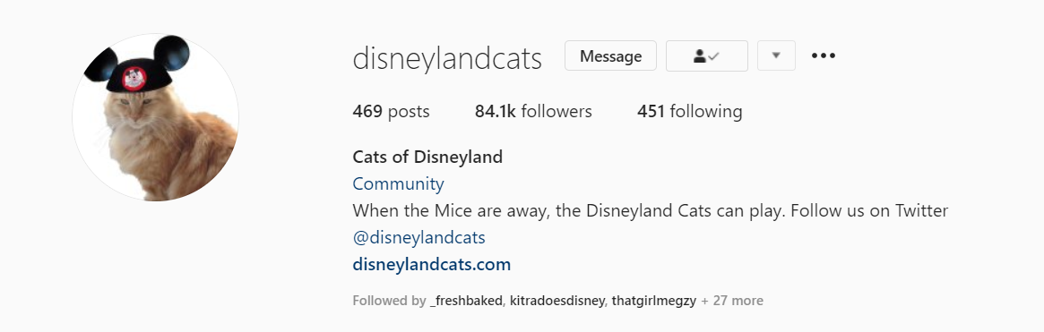 The Cats of Disneyland