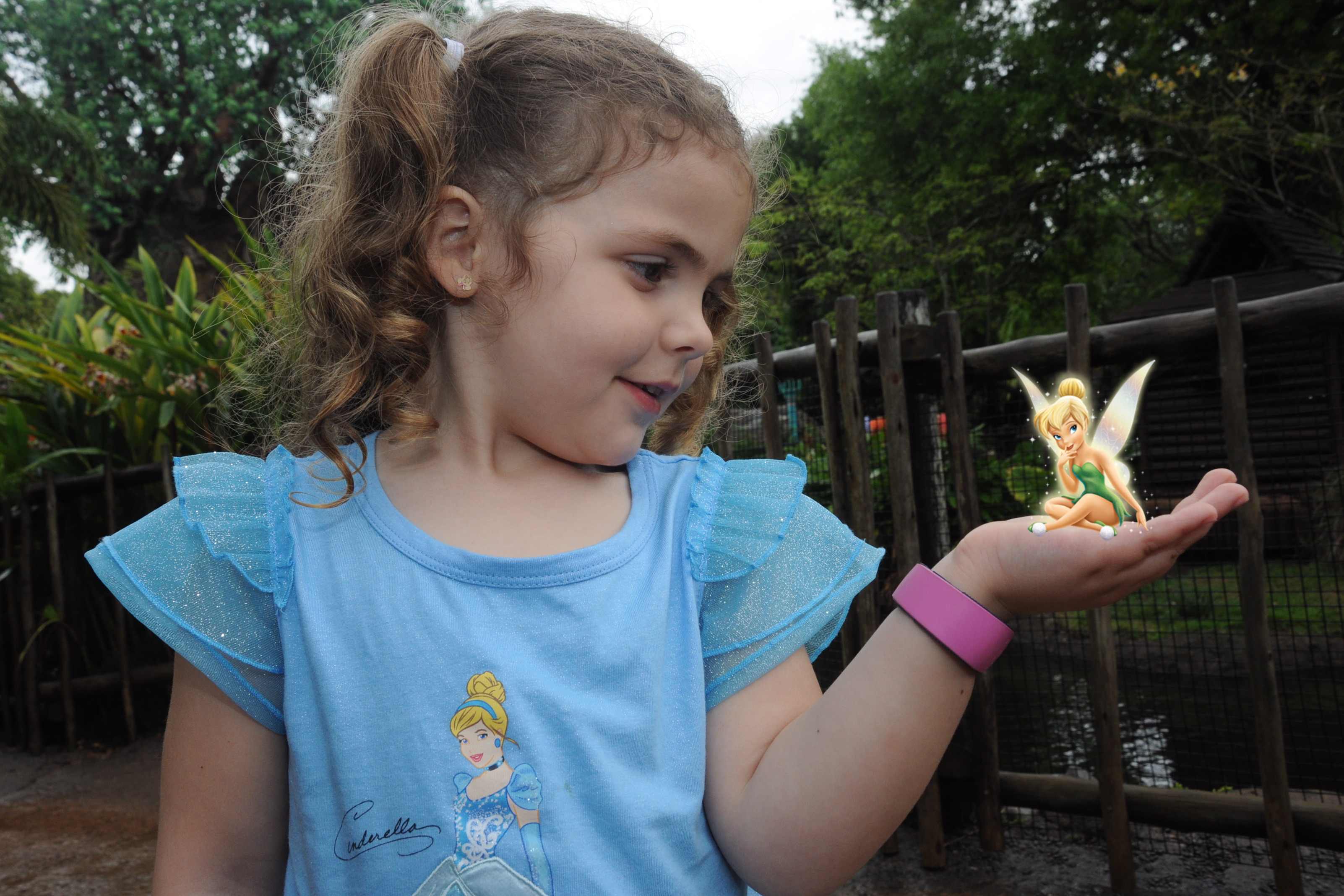 Disney PhotoPass: How and Why