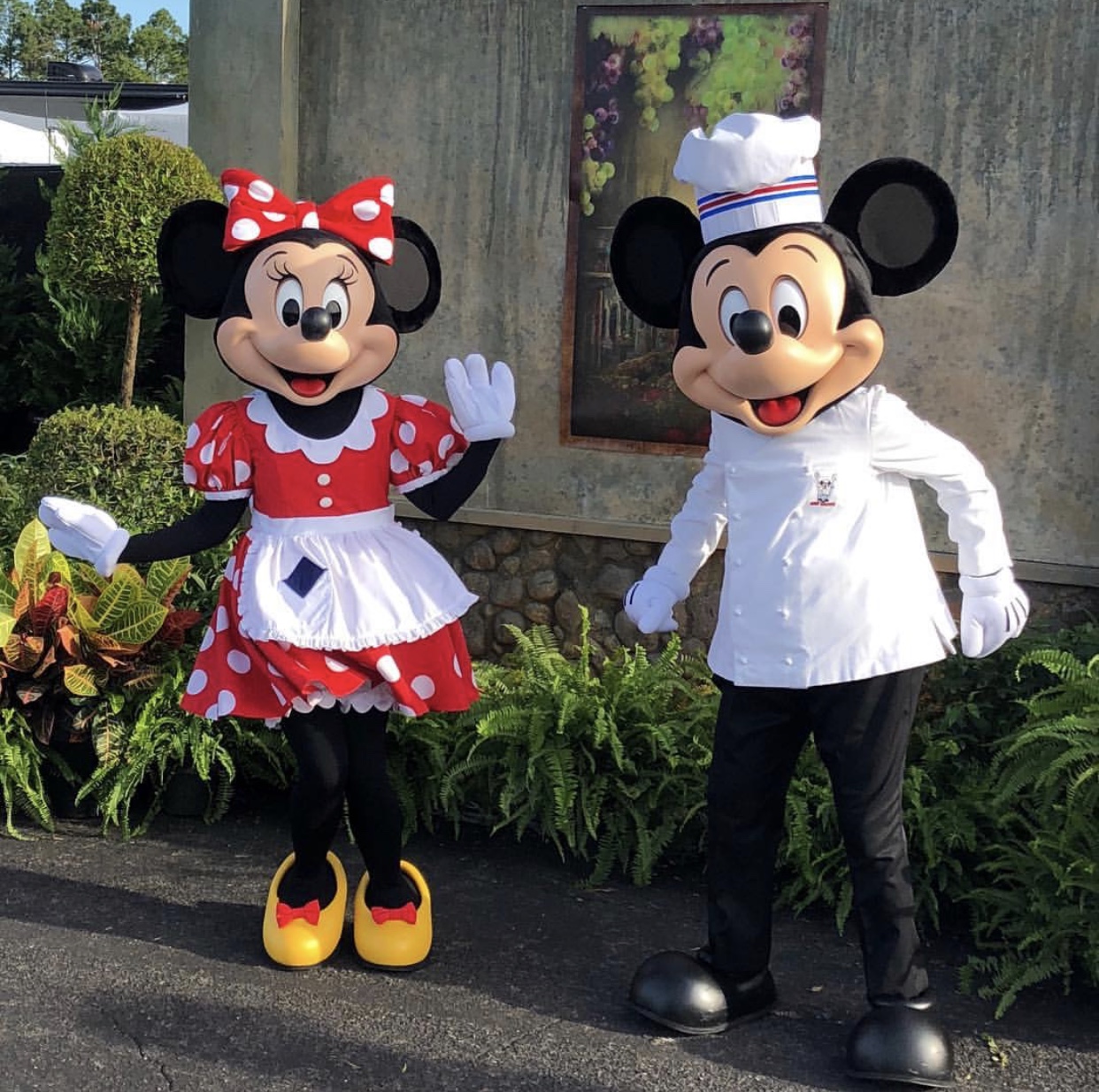 Disney's Race Weekends: What to Expect for First Time runDisney Runners