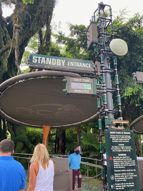 7 Tips to Help Make the Most out of your Disney Vacation