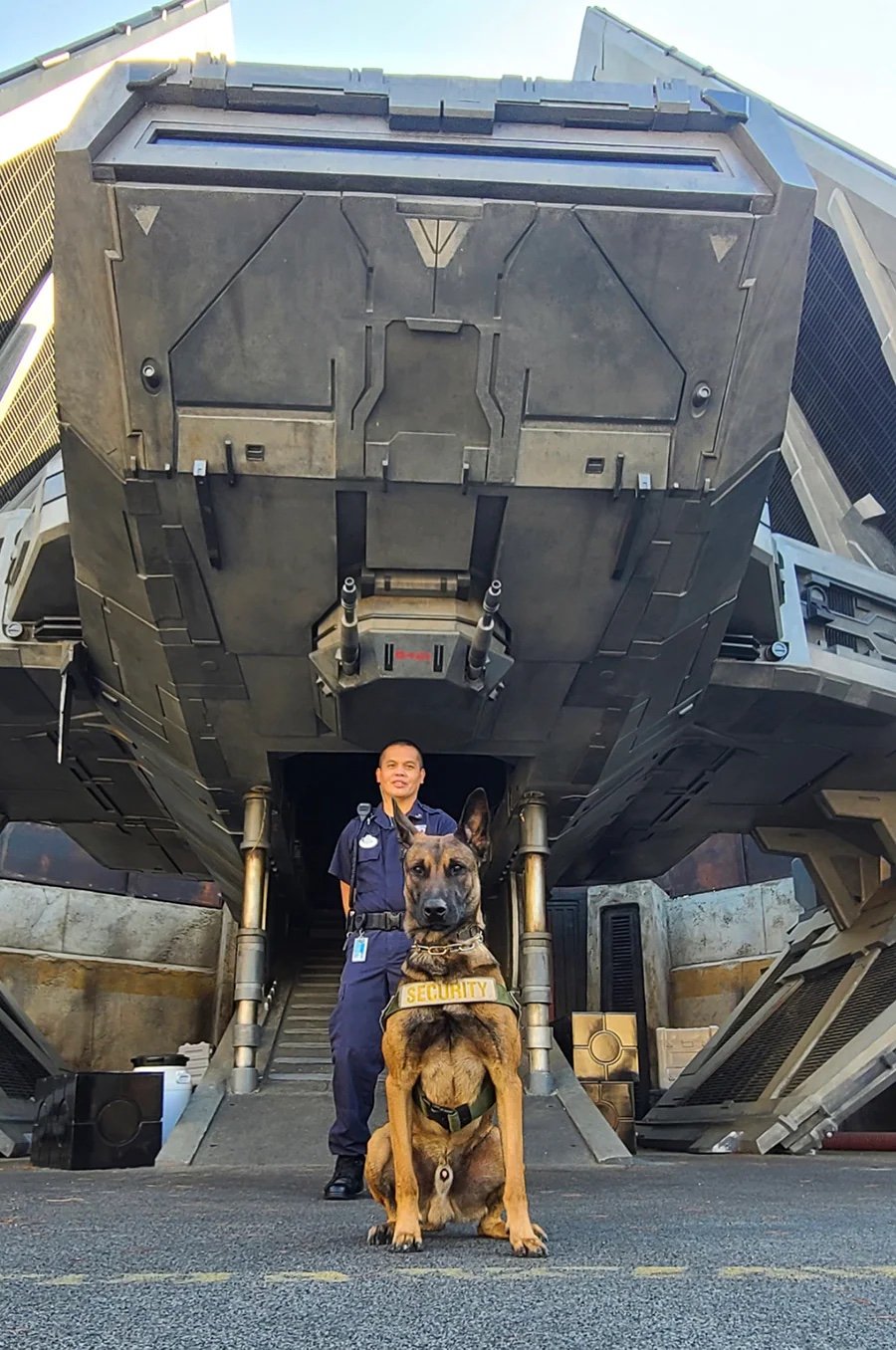 Meet Some Of The Disneyland K-9 Cast Members!