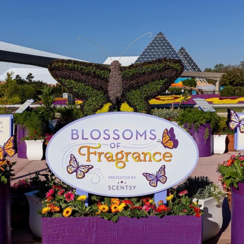 5 Offerings To Enjoy Springtime At Disney Parks!