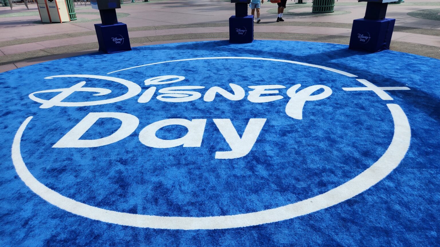 Disney+ Day Celebrations at the Disney Parks