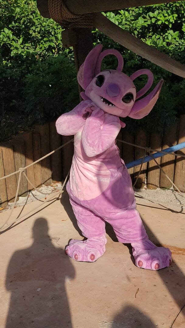 Magical Encounters: Meet Disney Characters at the Disney World Water Parks!