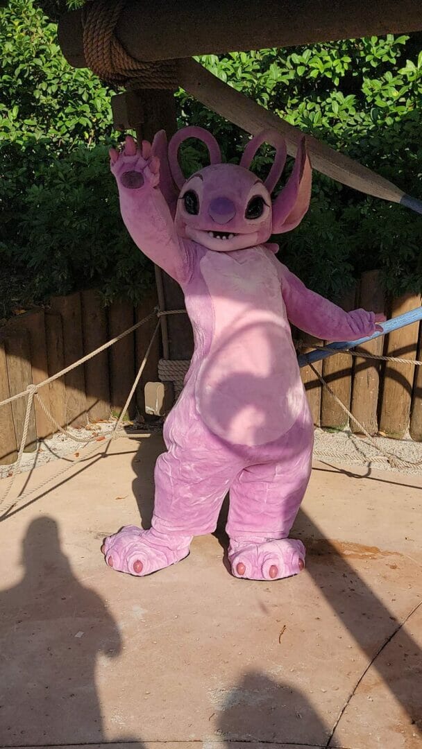 Magical Encounters: Meet Disney Characters at the Disney World Water Parks!