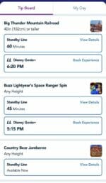 5 Tips for Waiting in Line at Disney World