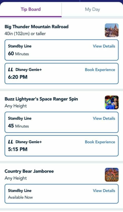 5 Tips for Waiting in Line at Disney World