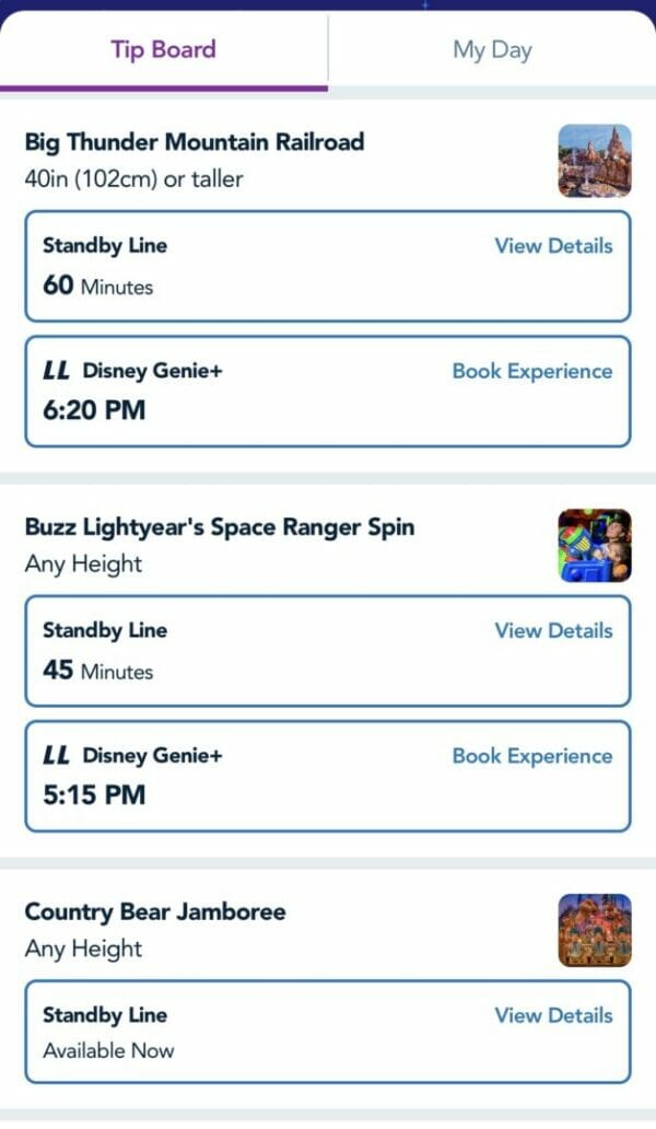 5 Tips for Waiting in Line at Disney World