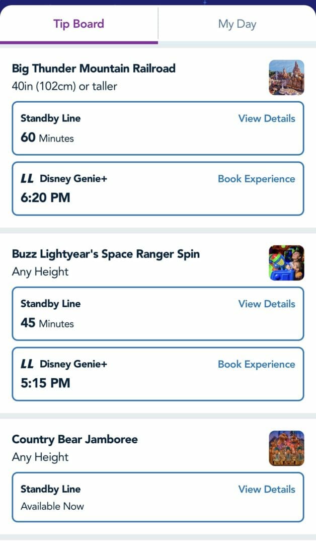 5 Tips for Waiting in Line at Disney World