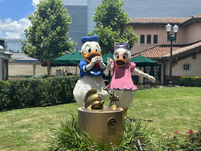 Step by Step: 5 Tips for Preparing for the Walking Adventure that is ...