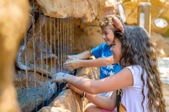 Guide to Journey of Water Inspired by Moana Opening Oct. 16