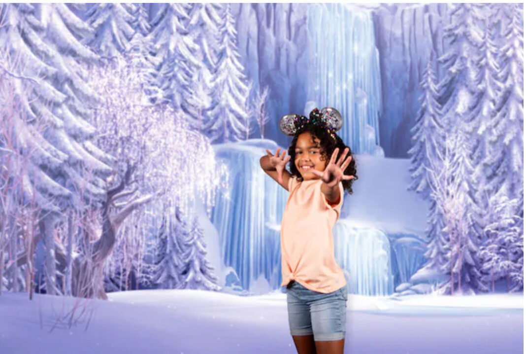 Top 10 Frozen Photo Ops at Disney World