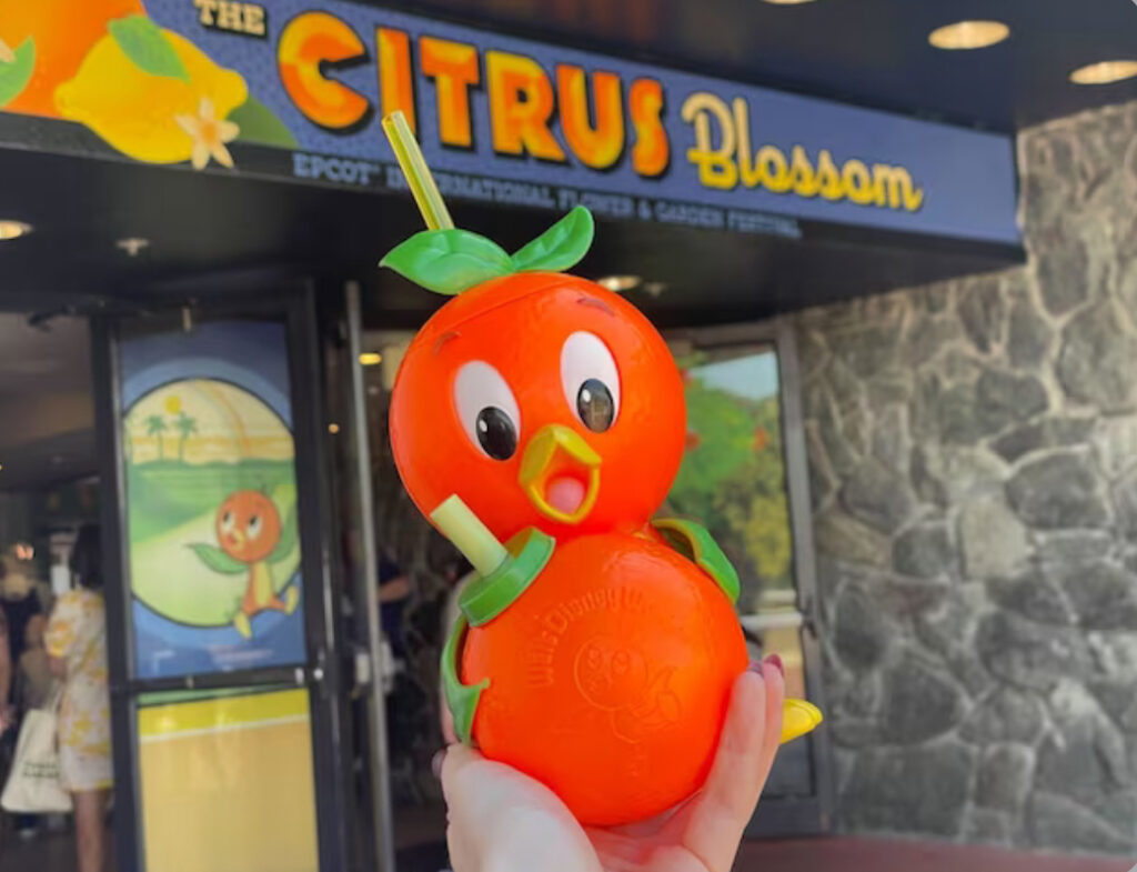 5 Places To Spot The Orange Bird During The Flower And Garden Festival ...