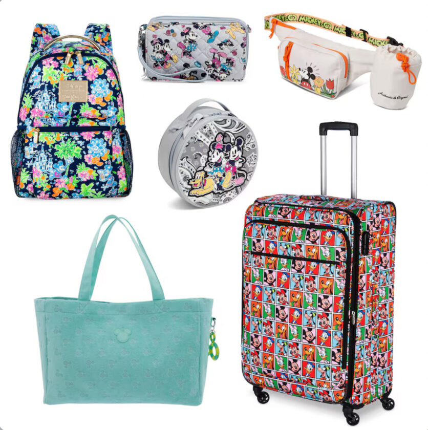 Disney Must Haves Products For Your Spring Break Vacation!