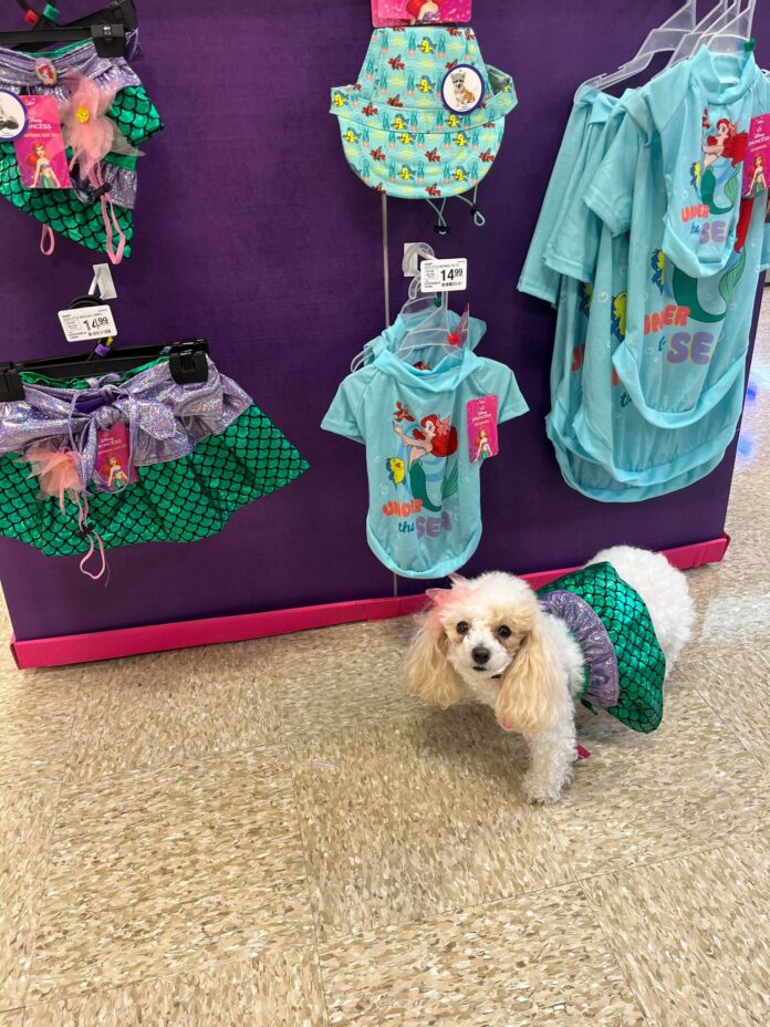 Make a Splash with Disney’s The Little Mermaid Pet Collection at PetSmart!
