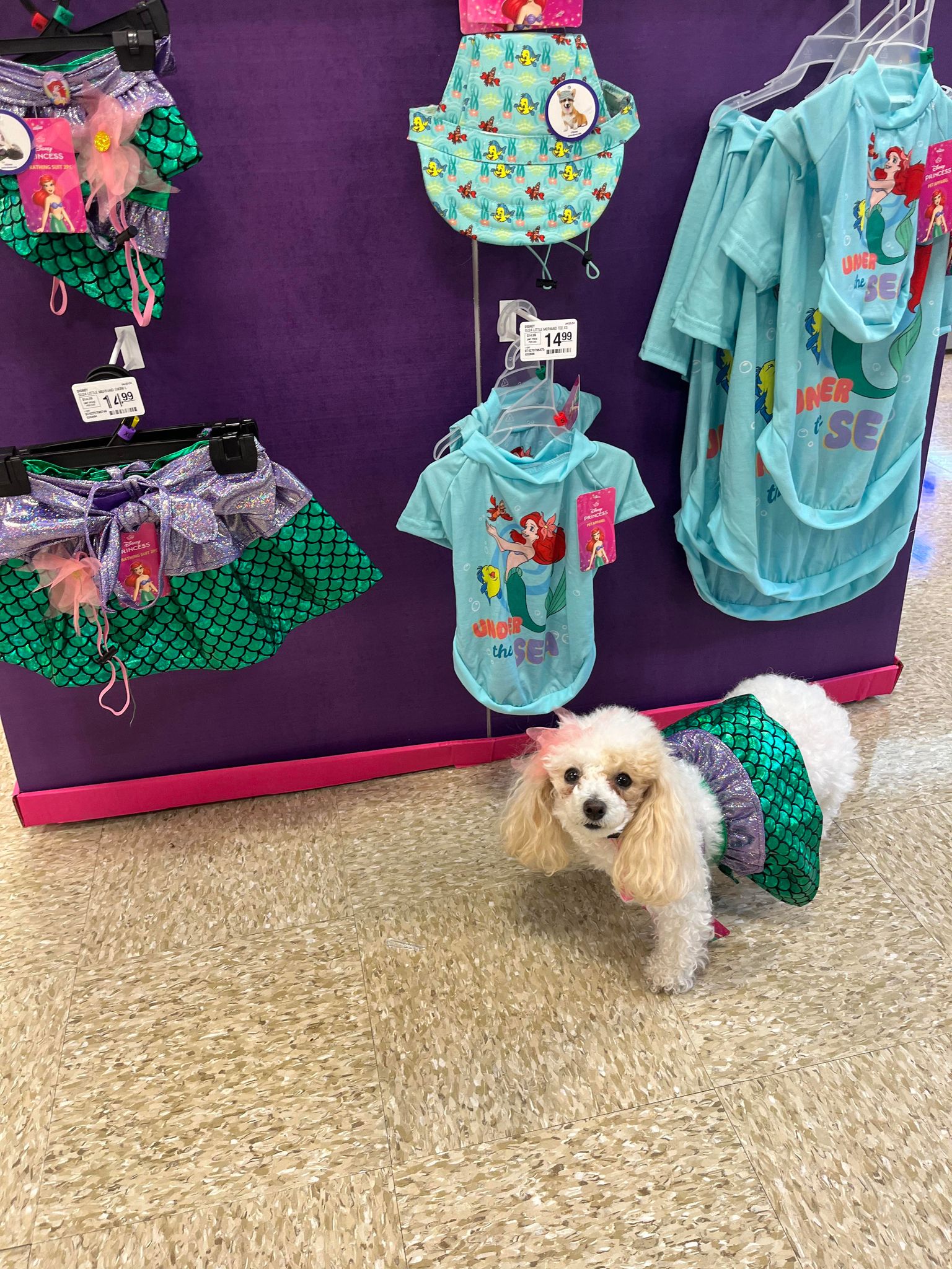 Make a Splash with Disney’s The Little Mermaid Pet Collection at PetSmart!