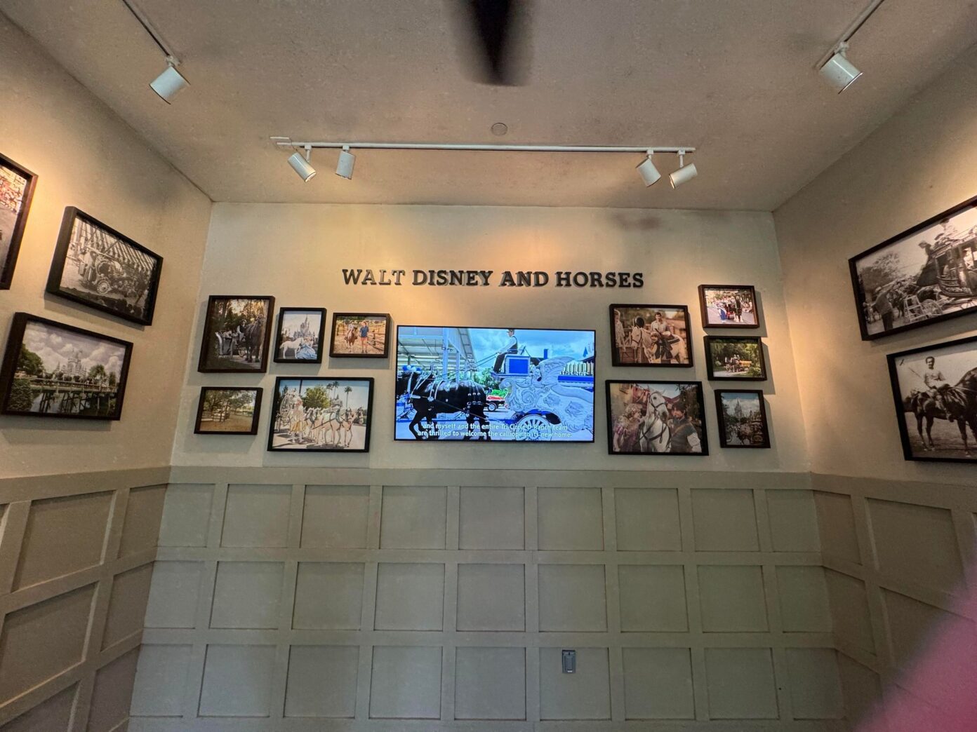 Why a Visit to Tri Circle D Ranch at Disney's Ft Wilderness Needs to be ...