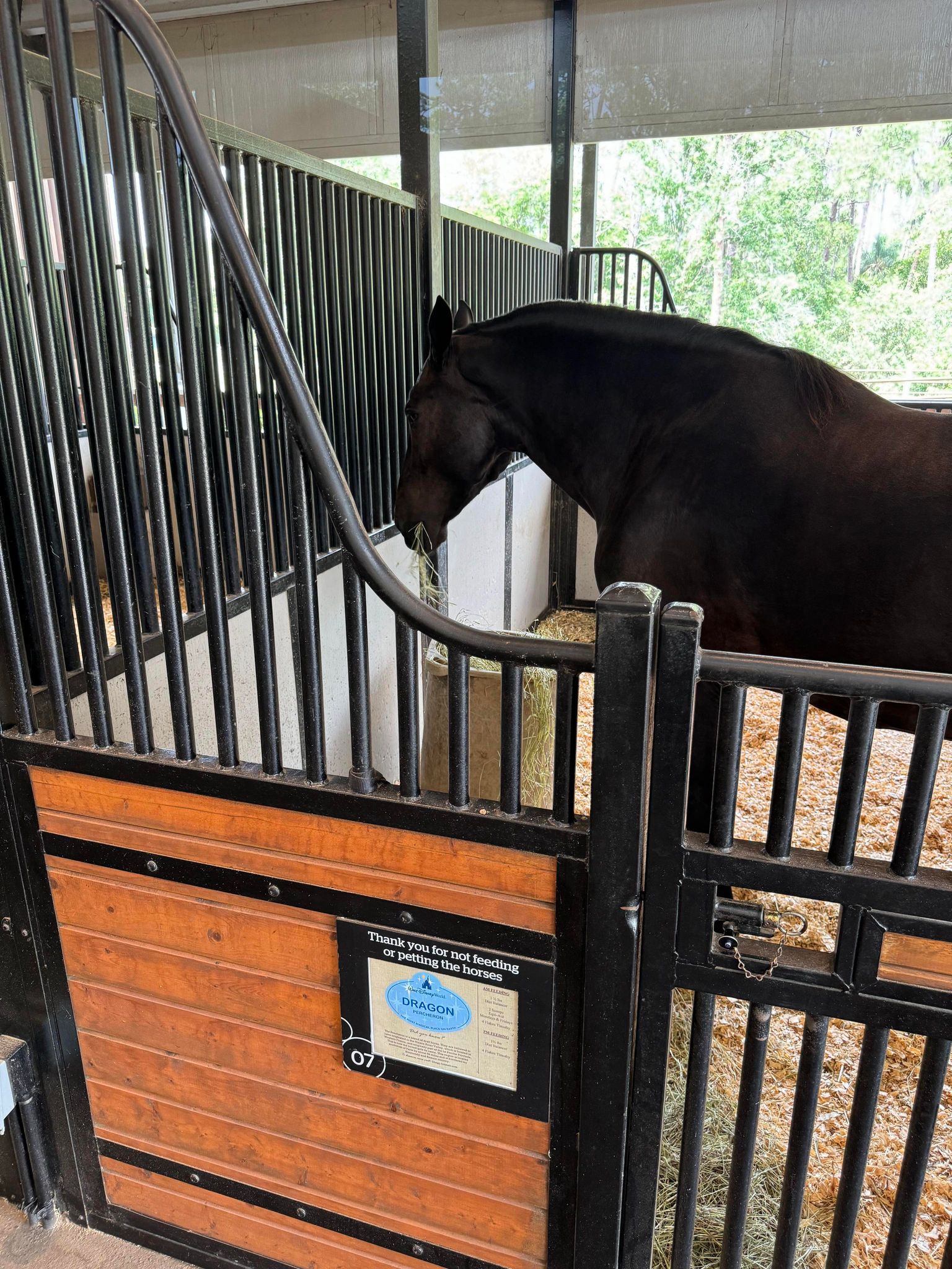 Why a Visit to Tri Circle D Ranch at Disney's Ft Wilderness Needs to be ...