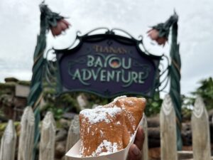 Beignet Bonanza: A Delicious Guide to Disney World's Sweet Treats